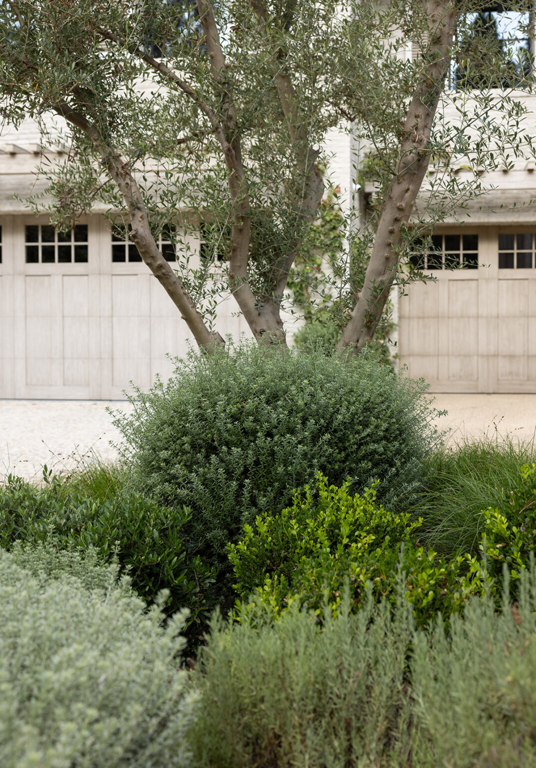 Sycamore Estate - Garden Studio