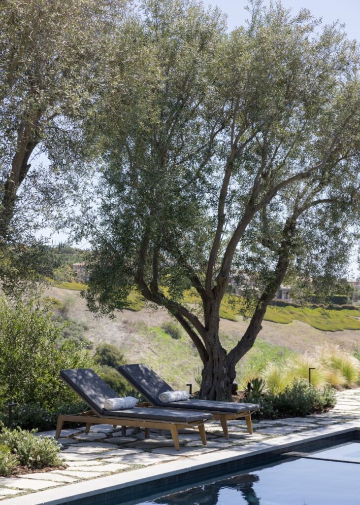 Key View - Garden Studio